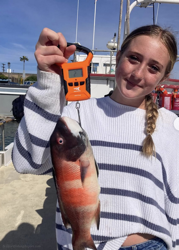 Blue Horizon Fish Report - Fish Report - 🐑 Head Tournament is still ...