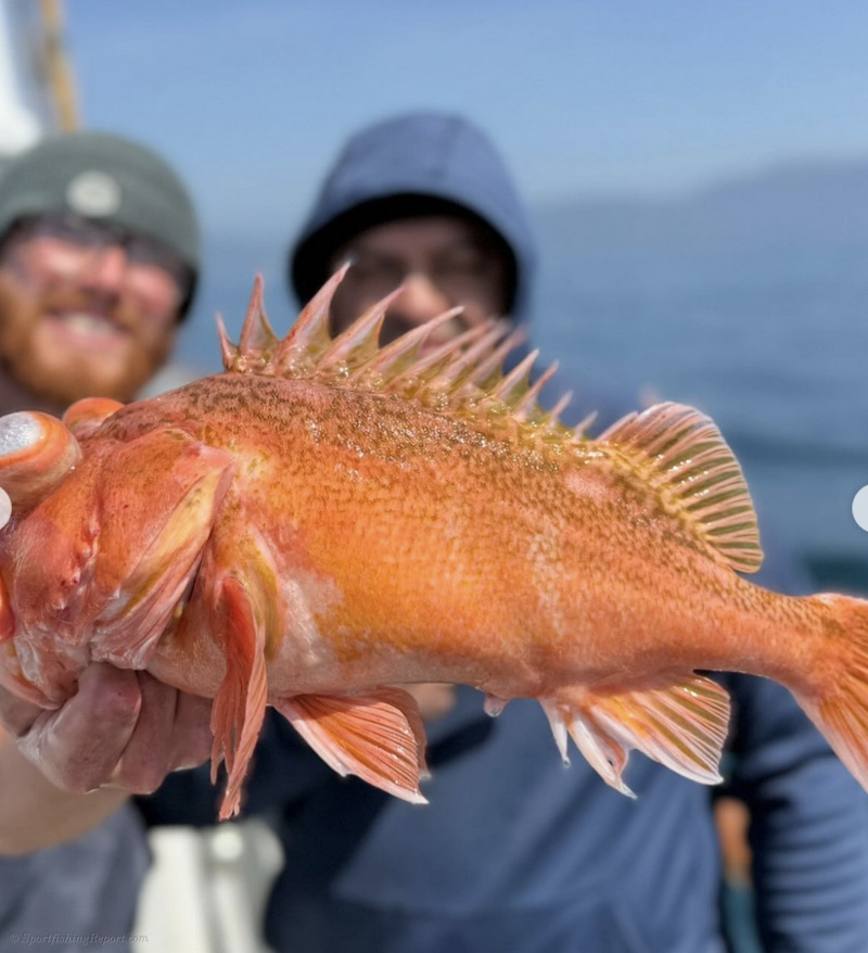 Fish Report - Fun day of fishing today