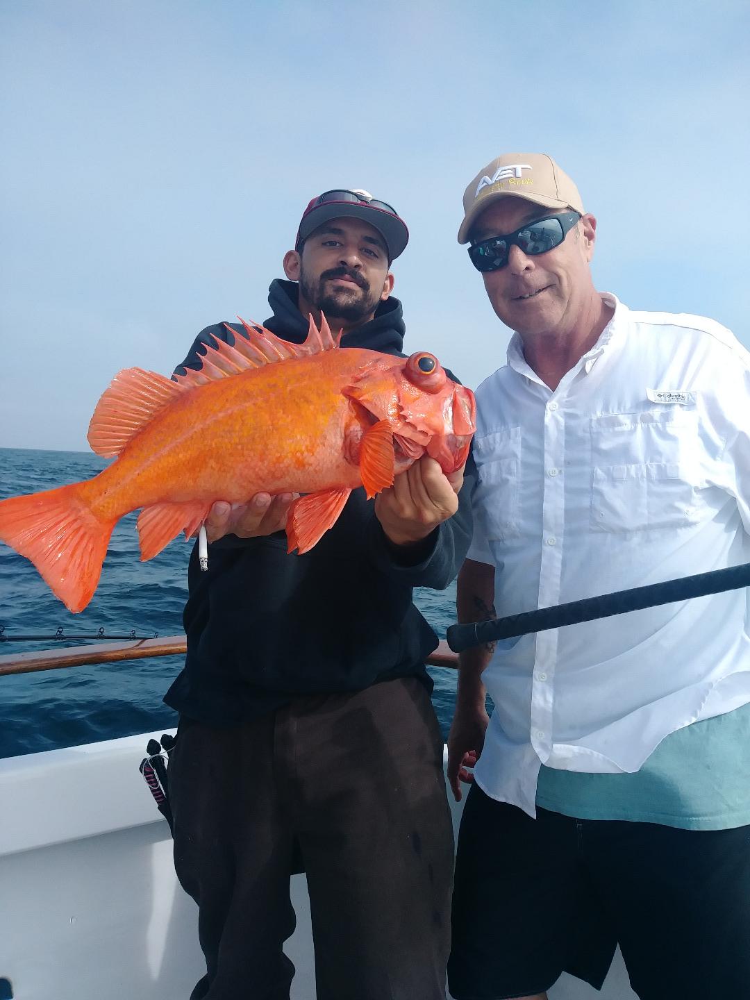 Amigo 20 Fish Bag Limits Again Amigo 20 Fish Bag Limits Again