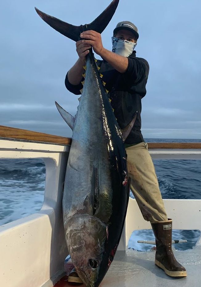Fish Report Pacifica 1 5 Day Wrap Up