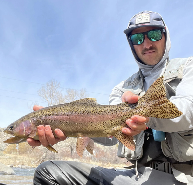 Eastern Sierra Fish Reports