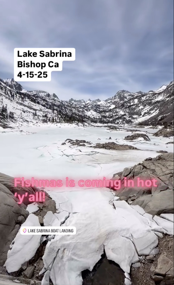 Lake Sabrina Fish Report - Bishop, CA (Inyo County)