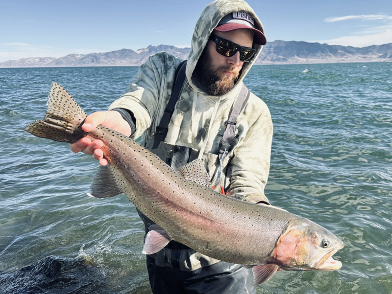 Pyramid Lake Fish Report - Sutcliffe, NV (Washoe County)