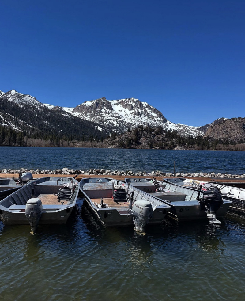 Gull Lake Fish Report - June Lake, CA (Mono County)