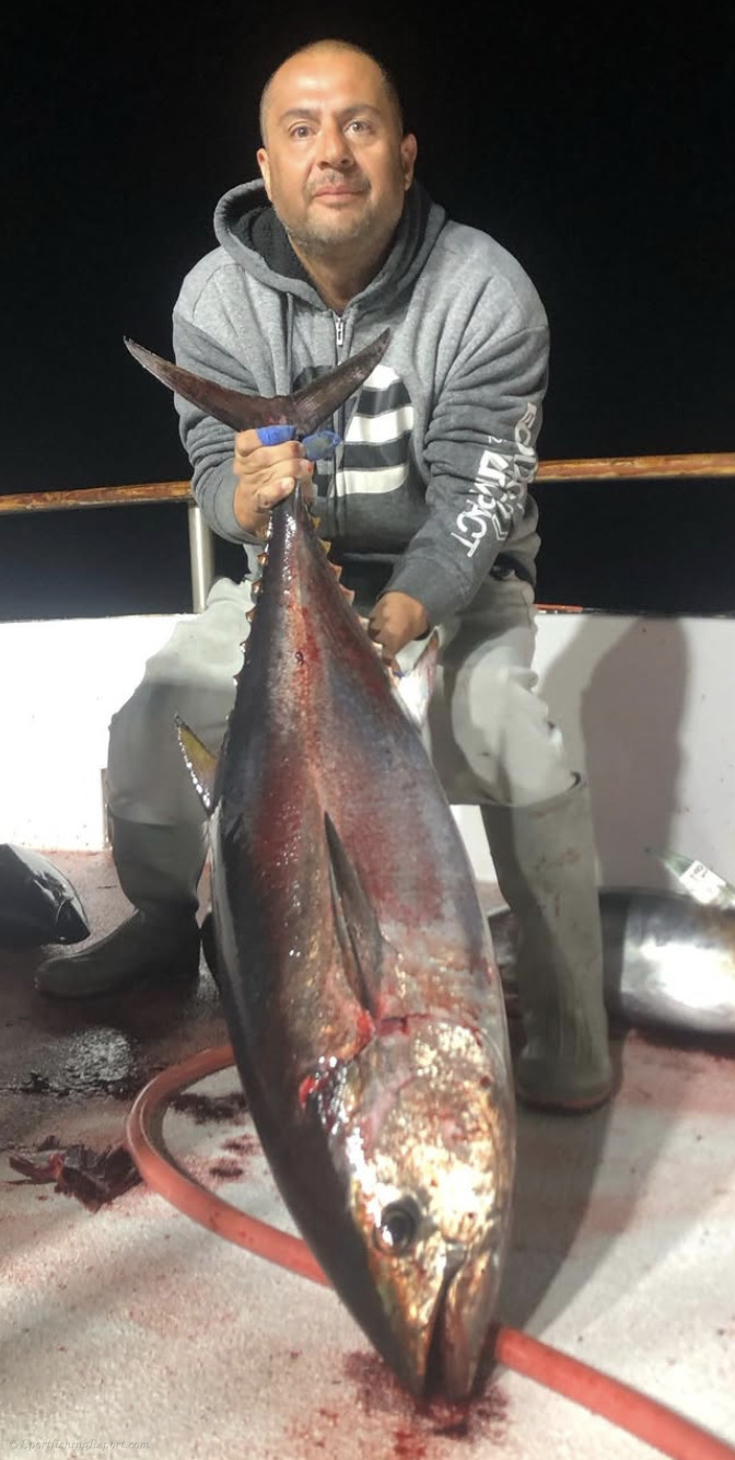 Pacific Queen Fish Report - Fish Report - LIMITS of Bluefin - April 24 ...
