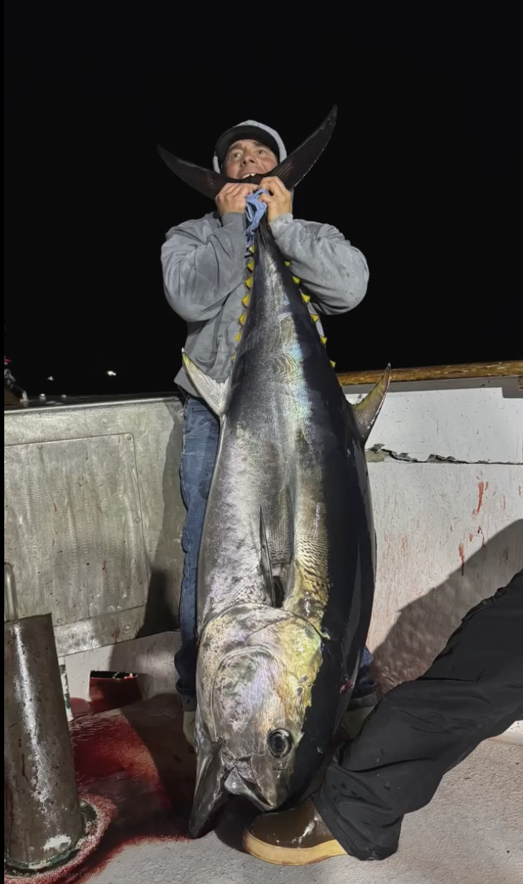 Pacific Queen Fish Report - Fish Report - It has been an exciting start ...