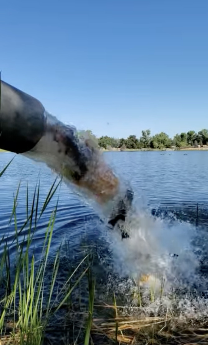 Lake Camanche Fish Report - Lake Camanche - Fresh Trout Plant at Lake ...