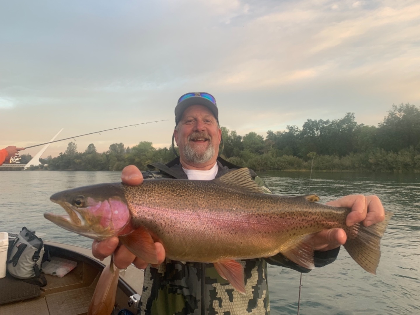 Sacramento River Fish Report Sacramento River Giant Rainbow Trout 