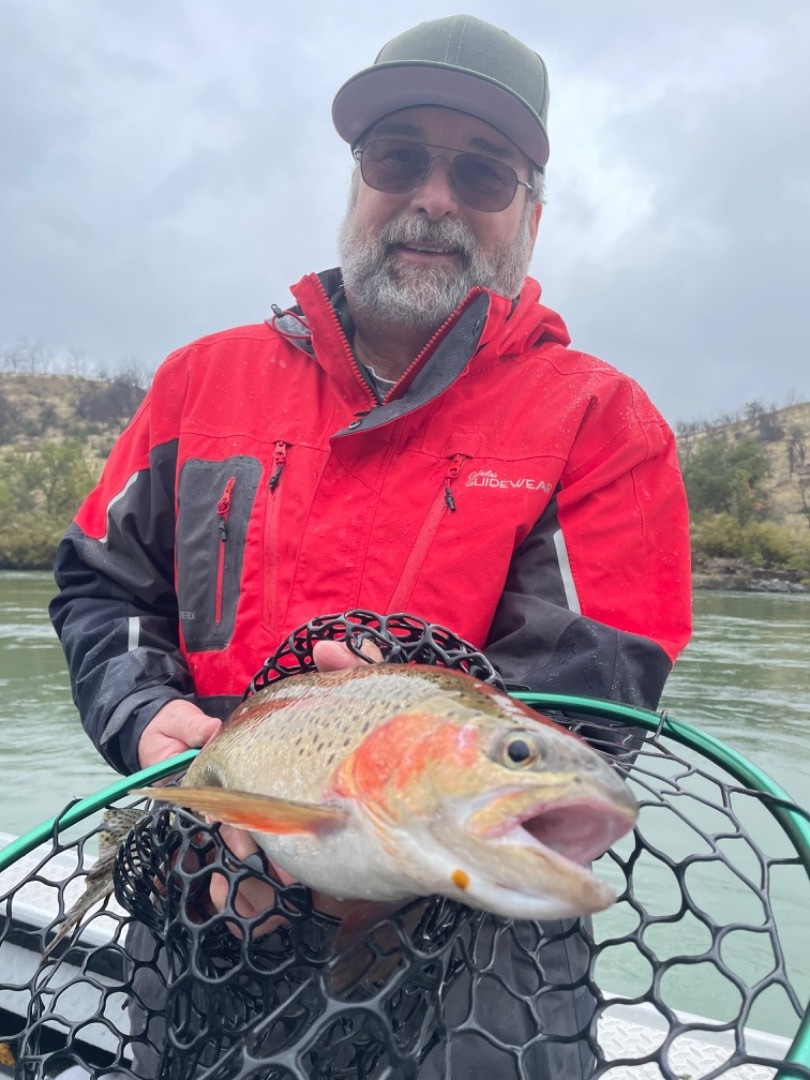 Sacramento River Fish Report Sacramento River Super Rainbow Trout 
