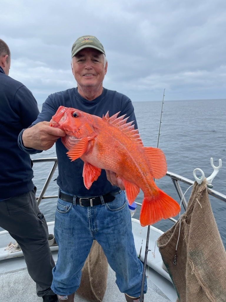 Fish Report Scores For Today August 30 2022 Fish Report Scores For Today August 30 2022