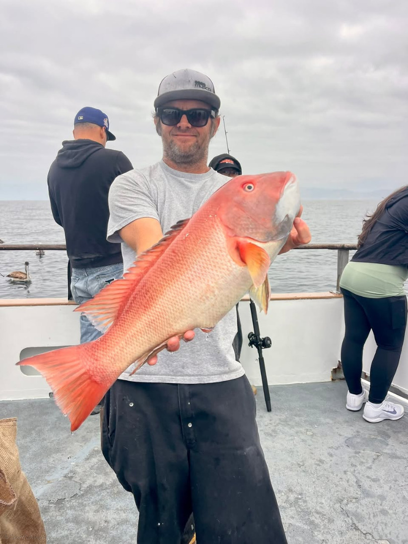 Fish Report - Redondo Special Fish Count